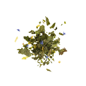 Bioflorin Kapseln – Probiotikum für eine gesunde Darmflora